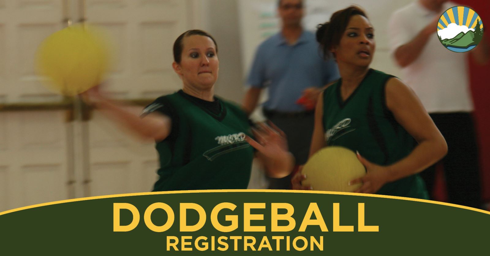 Adult League Dodgeball Registration - Hendersonville.com